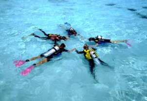 Voyage plongée, en séjour et croisière pour vos vacances - Voyages ...