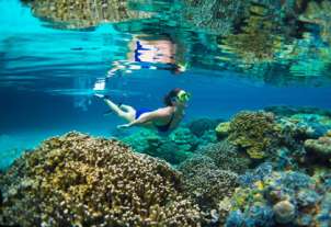 Voyages et safaris plongée accompagnés - Voyages plongée Ultramarina